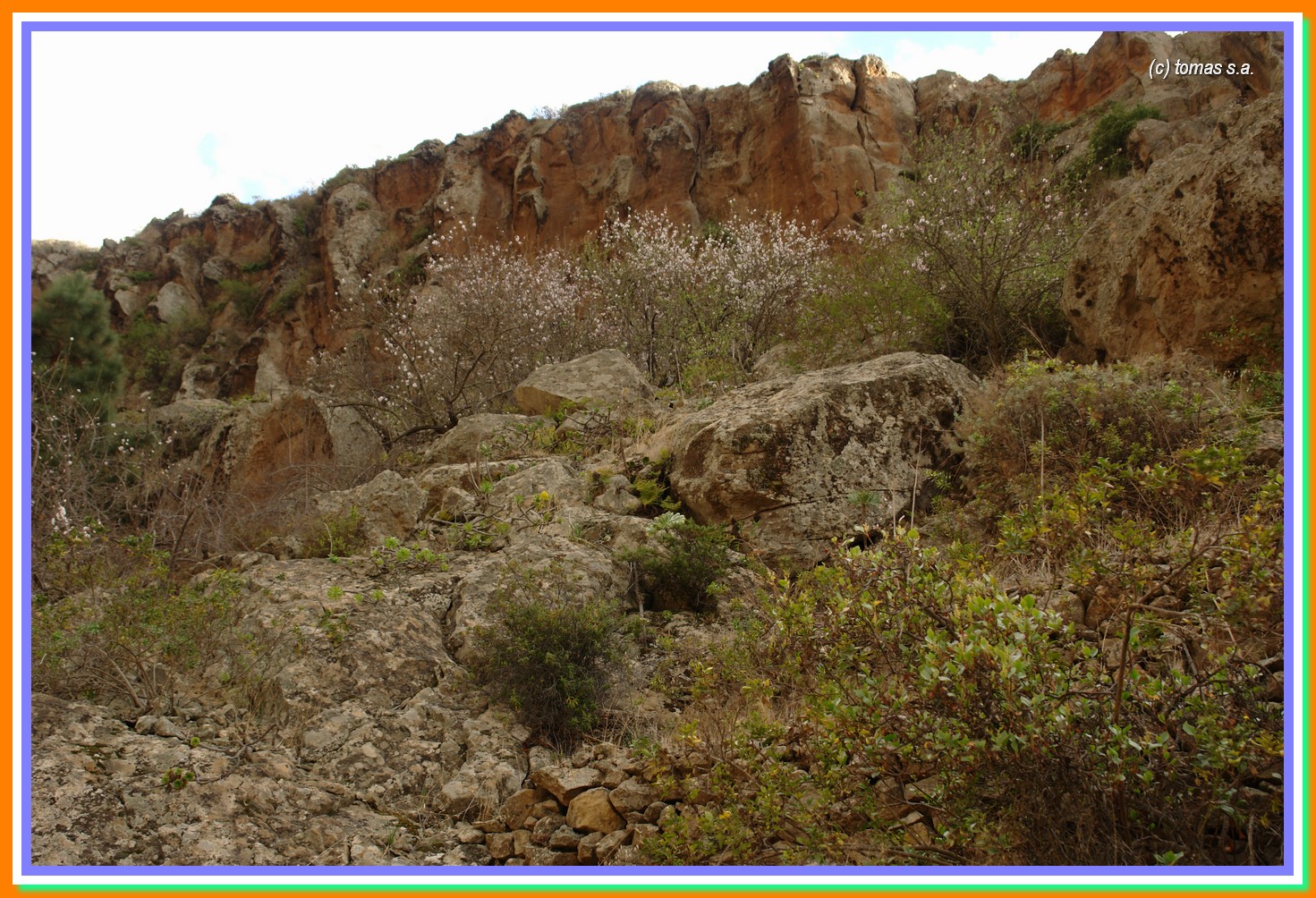 Tenerife senderos......: TENERIFE SENDEROS --GUIA ISORA-- EL JARAL -LAS ...