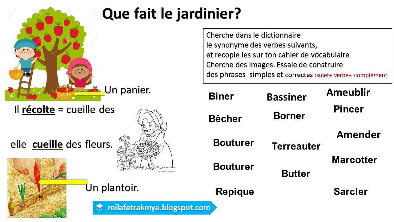 vocabulaire et projet-Le jardinage