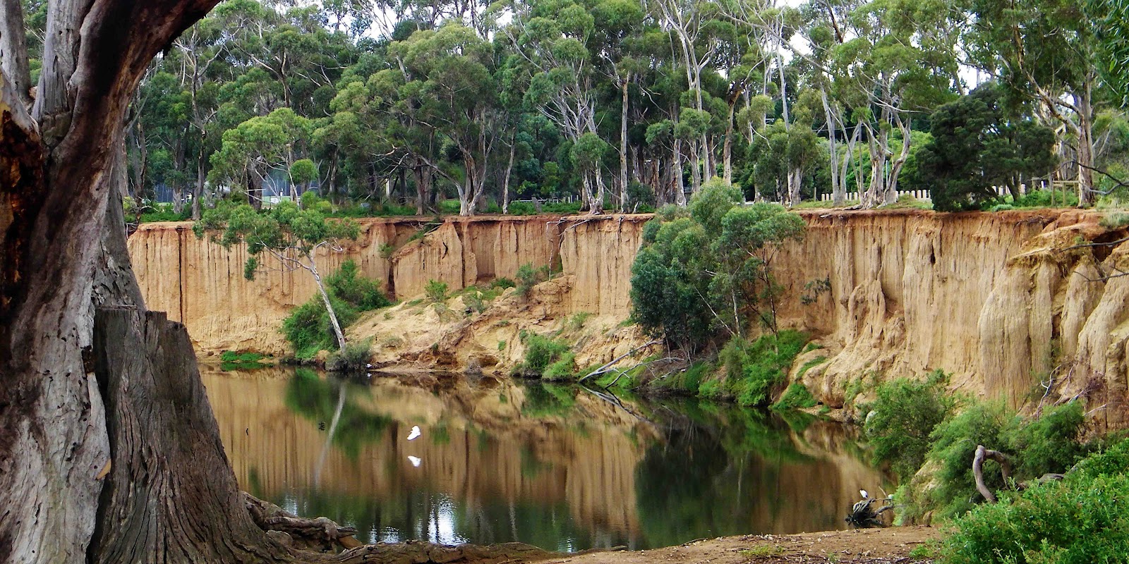 CAROWARREN PHOTOGRAPHY: K Road Cliffs, on Werribee River