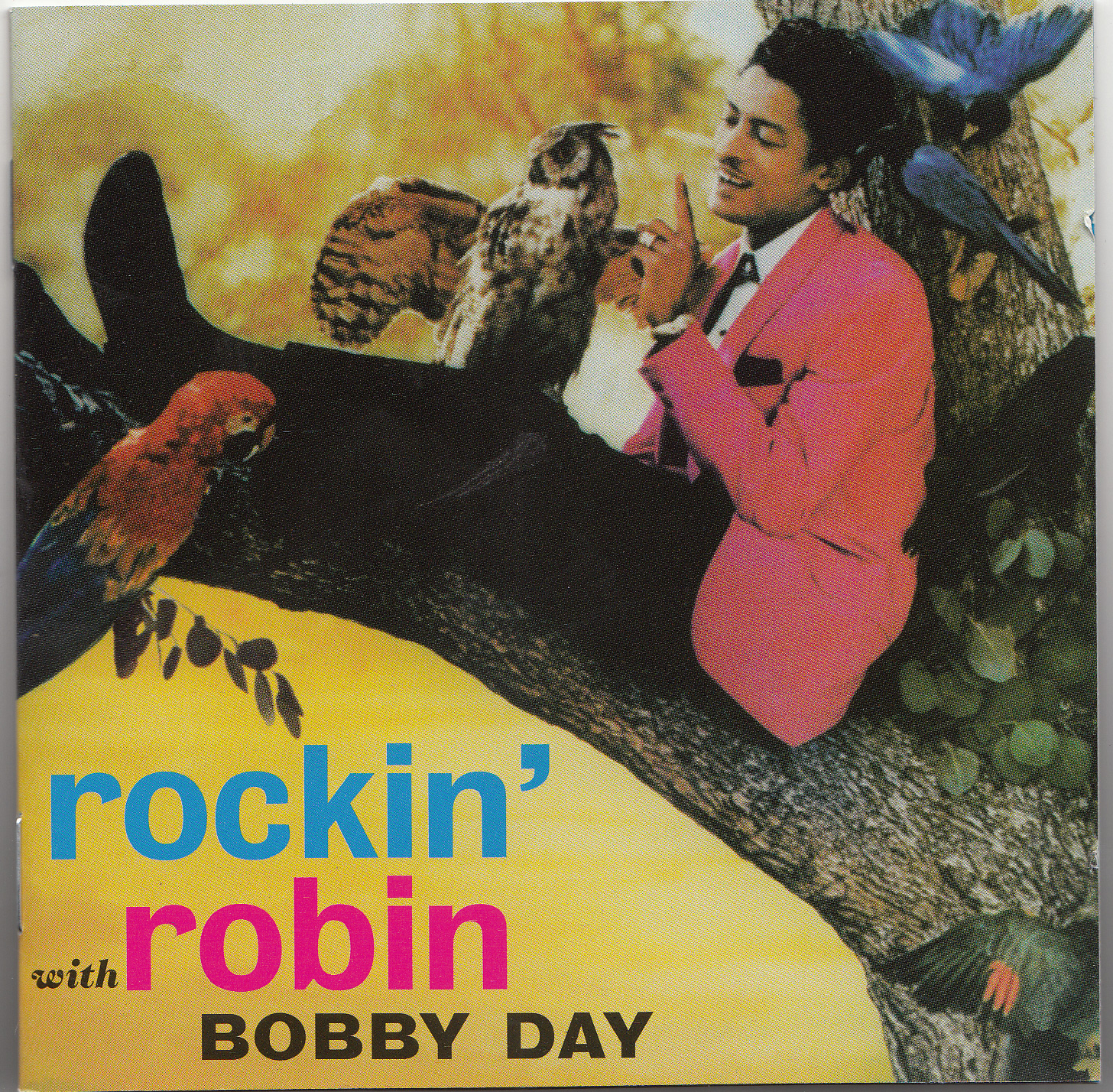 Rock 'n' roll is here to stay: Bobby Day - Rockin' Robin