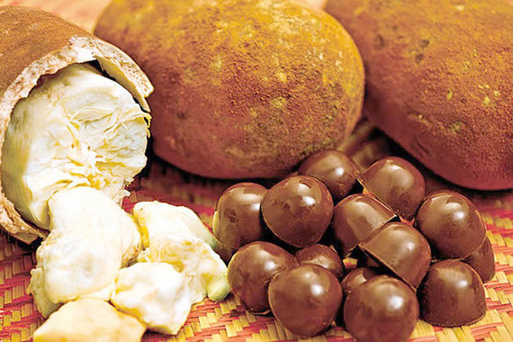 CLÍNICA ESPORTIVA: CUPULATE: O CHOCOLATE DE CUPUAÇU