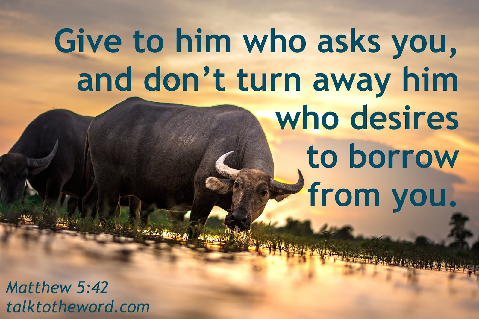 Matthew 5 42 matthew-5-42