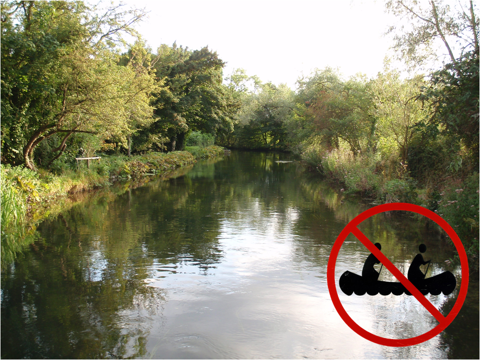 Canoeing and Kayaking on the River Itchen Navigation: Welcome to 21st ...