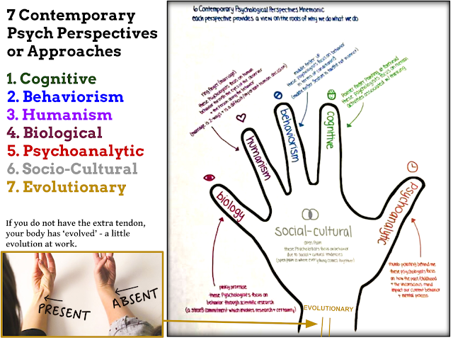 Mnemonic Devices Psychology