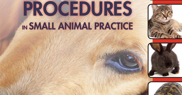Veterinary Clinical Procedures in Small Animal Practice