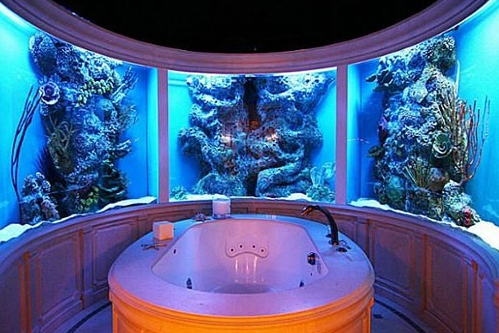 City Aquarium - Custom Aquariums / Aquarium Design - Creating custom ...