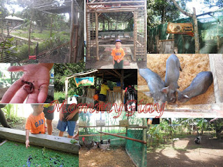 MommyGiay: Agri-Farm Tour in Batangas
