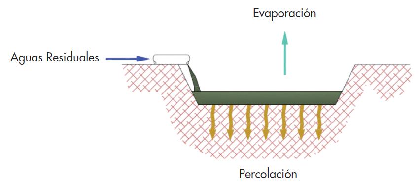 Sistemas de Depuración Natural