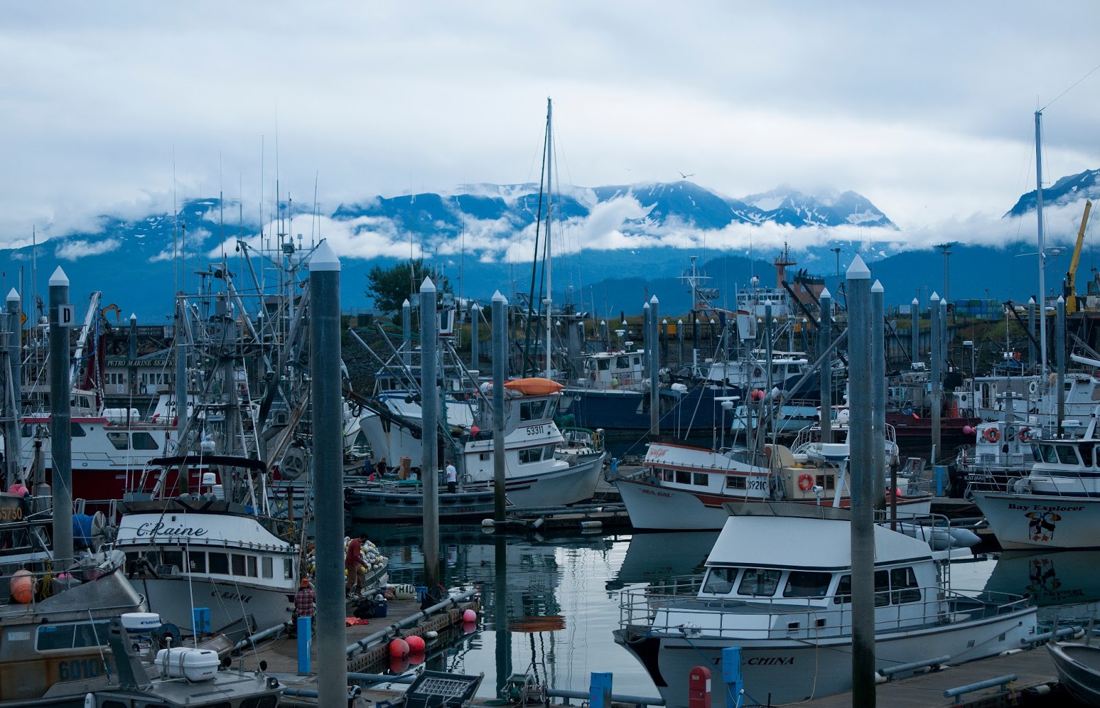 Alaska: The Soldotna Solution