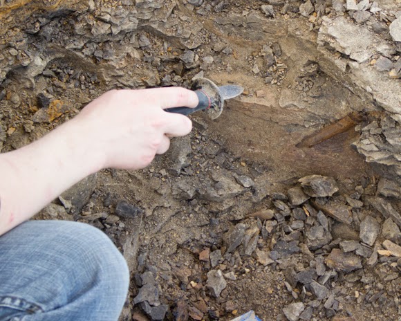 Craft Knife: Out West 2014: Family Dino Dig Day 1