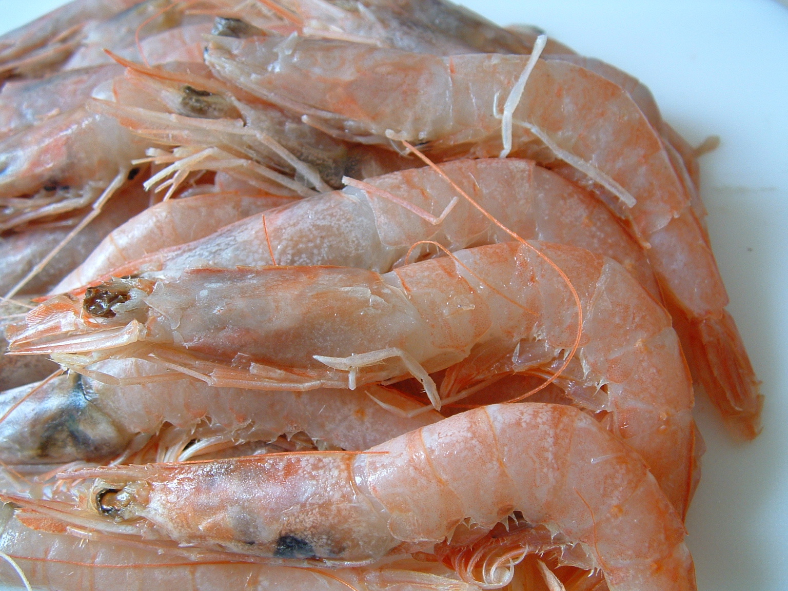A London Fishmonger: Wild Mediterranean Prawns - Rosso, Rosa & Mazzancolle