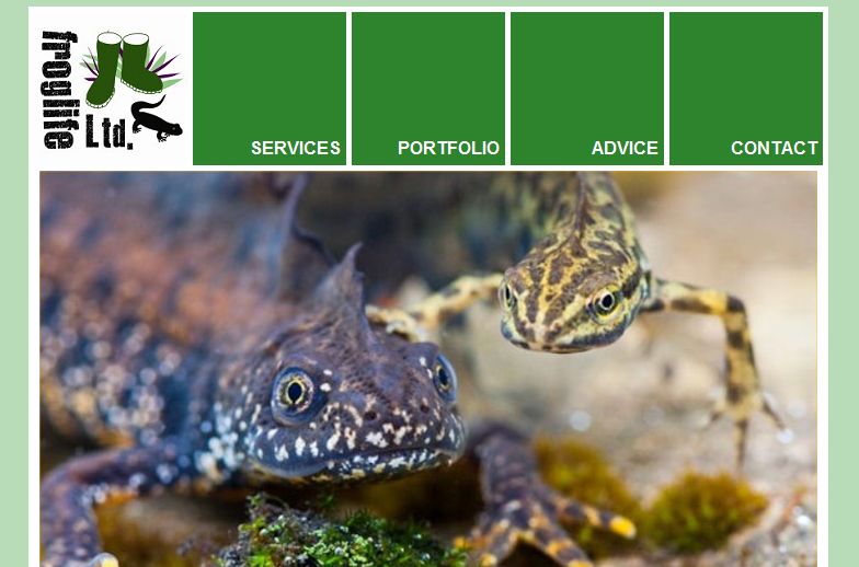 Froglife news: Froglife’s New Social Enterprise Website