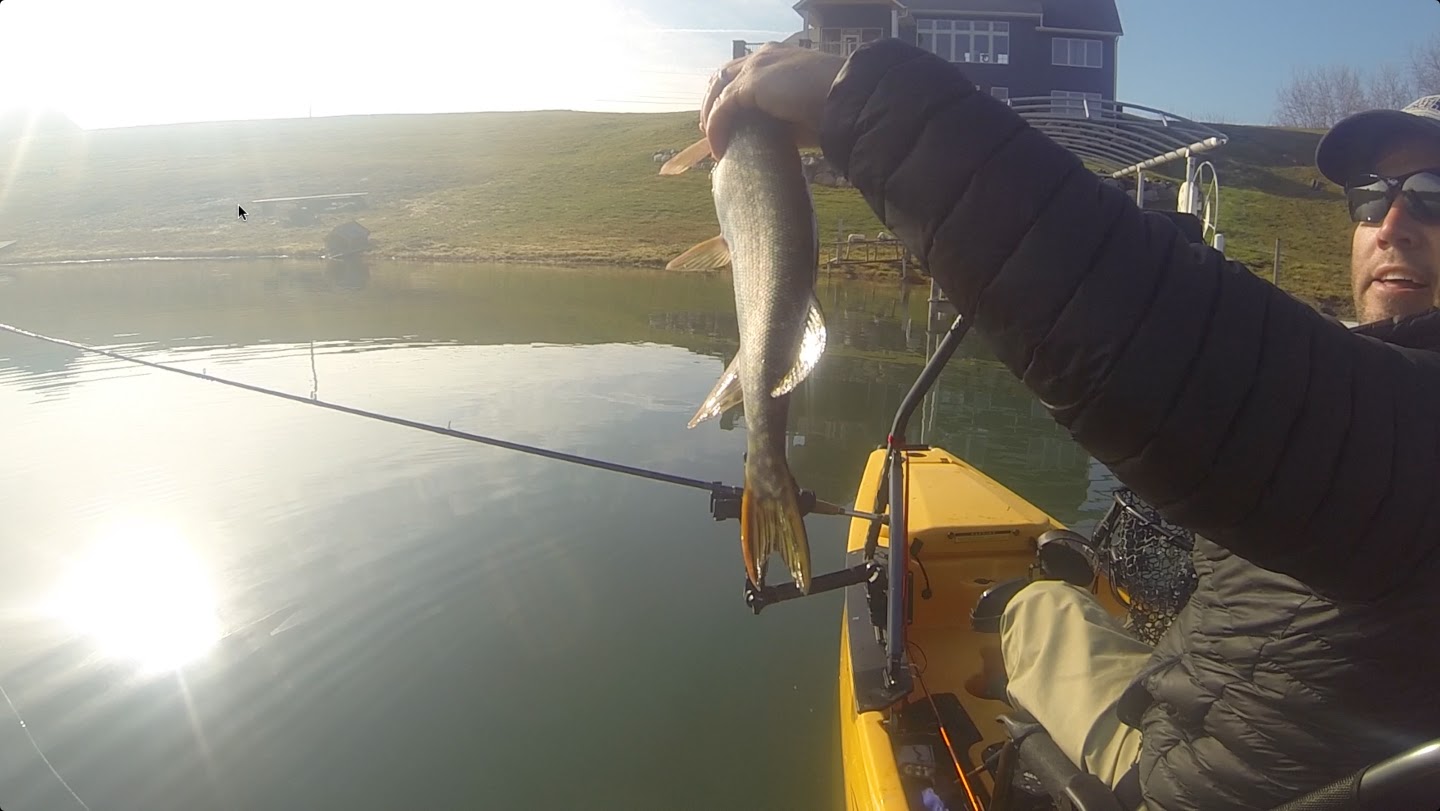 NE.Indiana+ Fishing Journal: Late Fall Northern Pike | Hamilton Lake ...