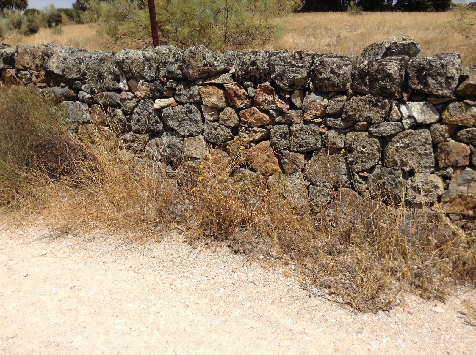 Drystone walling and hedgelaying: Spanish Drystone Walls