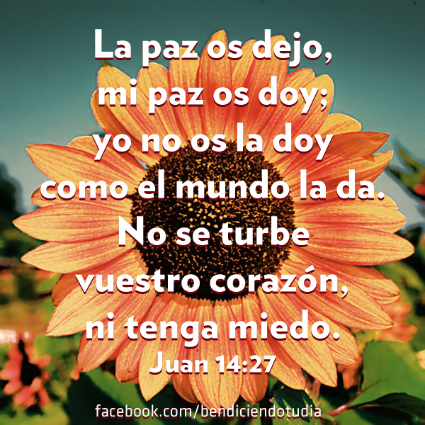 Bendiciendo tu Día: LA PAZ DE DIOS