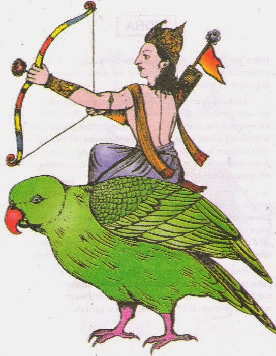 Cornelia Vîju: Kamadeva