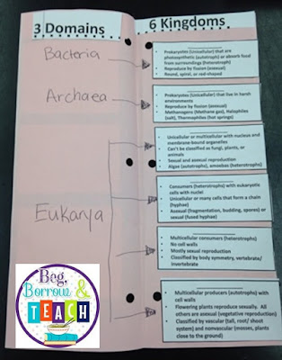 Beg, Borrow, and Teach!: 3 Kingdoms and 6 Domains Differentiated Foldable