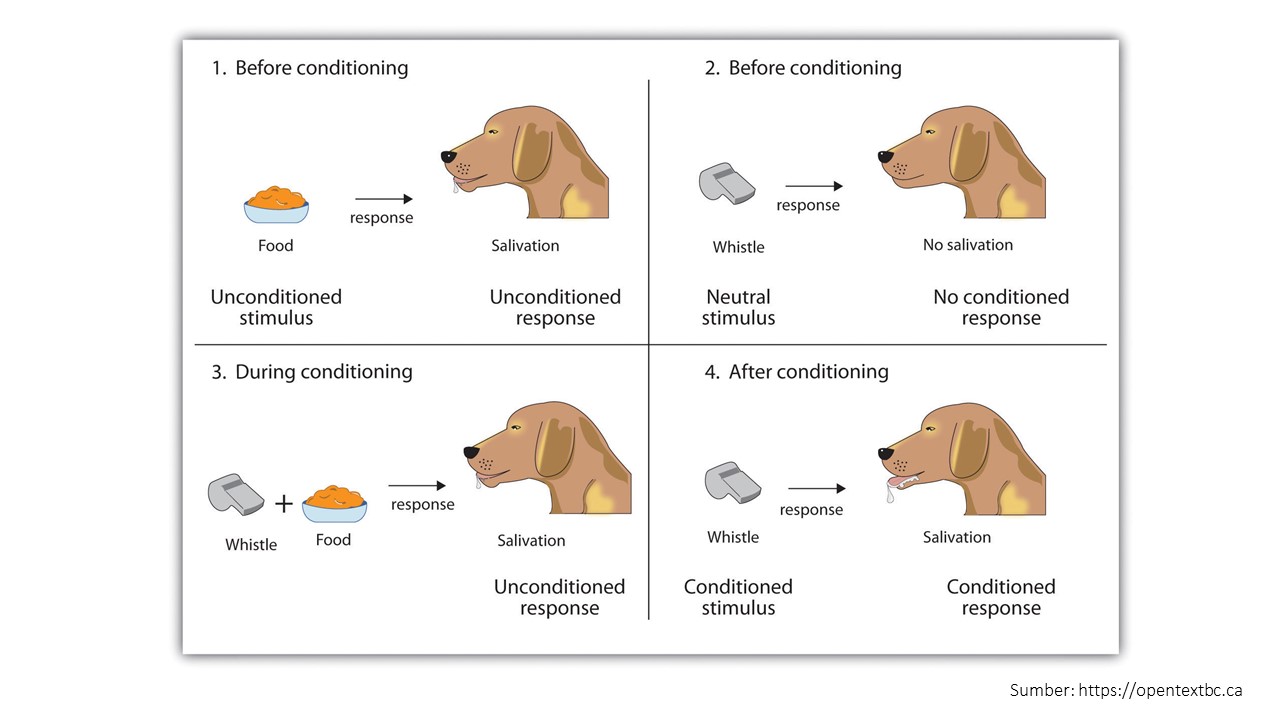Teori Belajar Behavioristik: Dari Pavlov Hingga Watson - Teras Academy