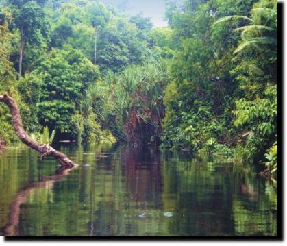 National Park Bukit Baka | sights