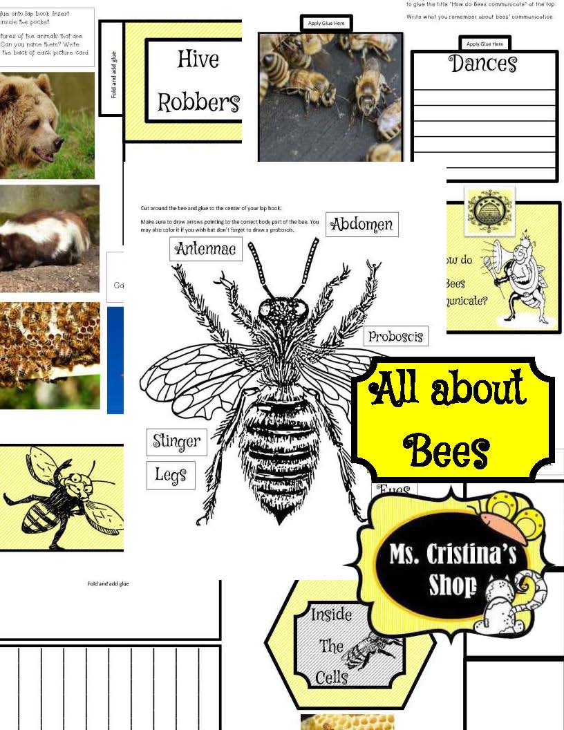 The Hermit Crabs Homeschool: All about Bees Unit Study