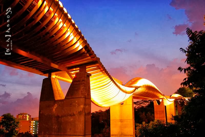 Henderson Waves Bridge, Singapore