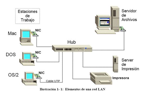 Redes: TIPOS DE REDES POR DISTRIBUCIÓN LÓGICA