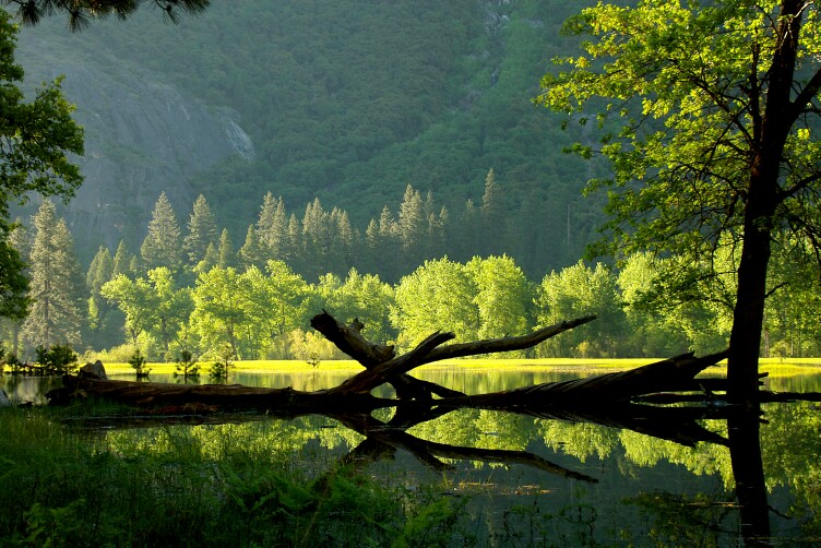 Día Mundial del Ambiente