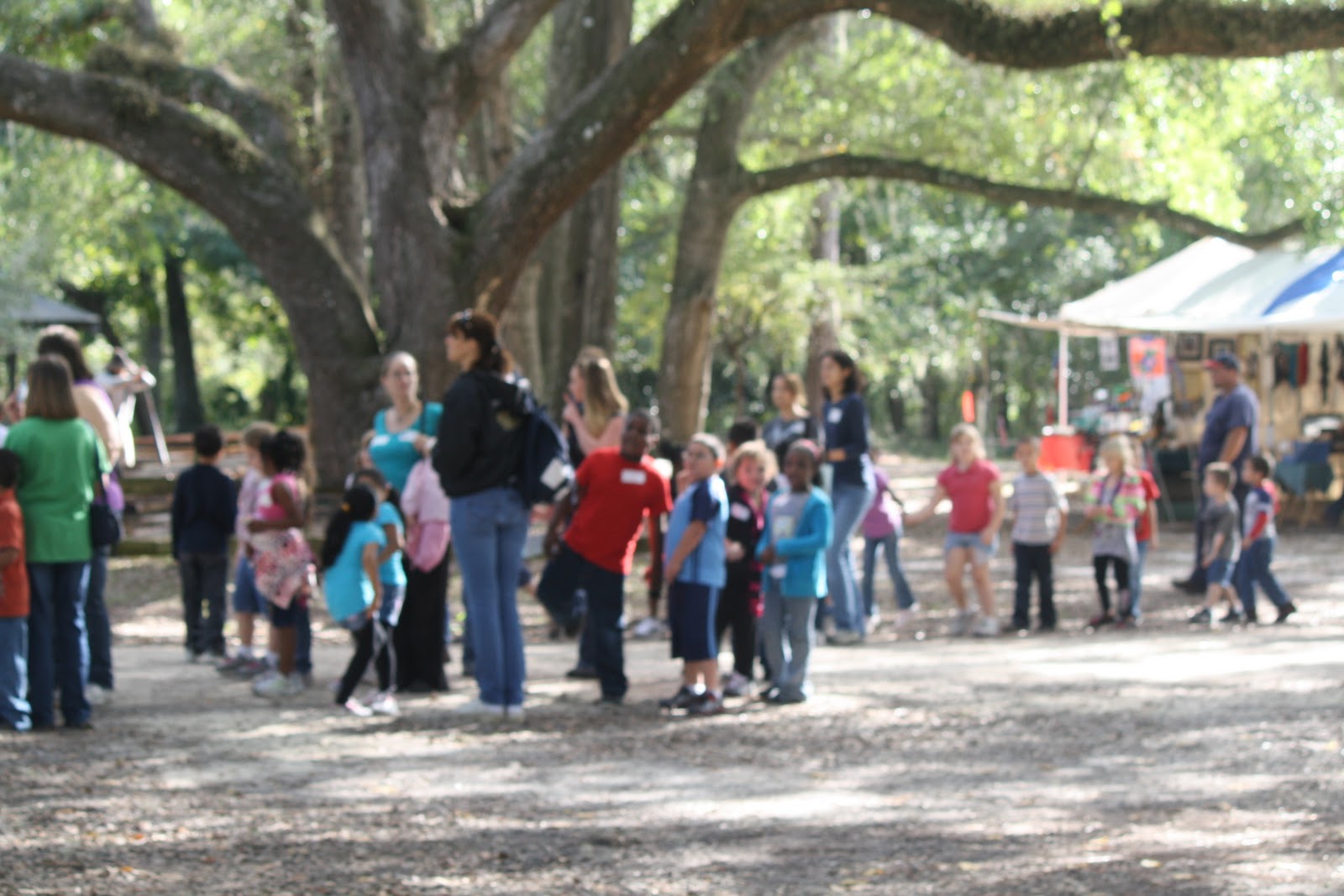 The Blue Whale and Other Travel Tales: Ocali Days at Silver River ...