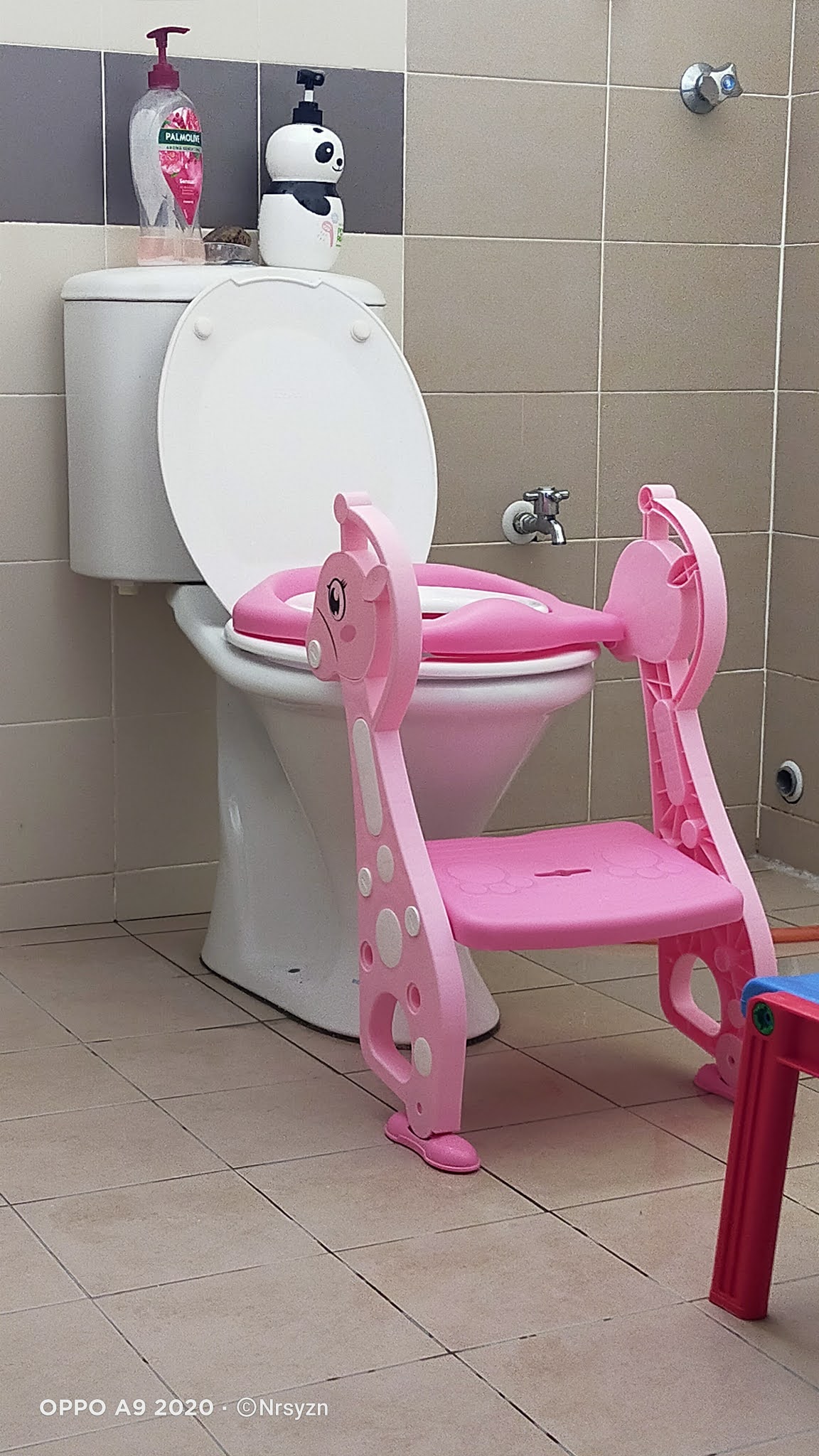 Tips dan Pengalaman Potty Train Anak Perempuan