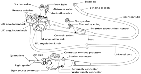 The Site for Healthcare Professionals: Colonoscope.