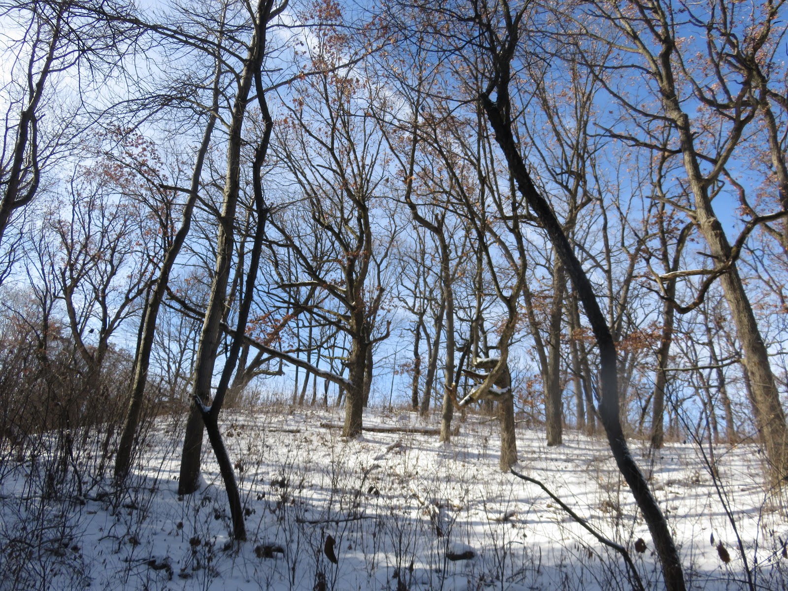 Tales From the Trails: Tyke Hike #71 - First Day Hike - Lapham Peak ...