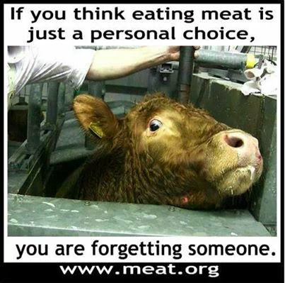 Vegan Memes: Personal Choice