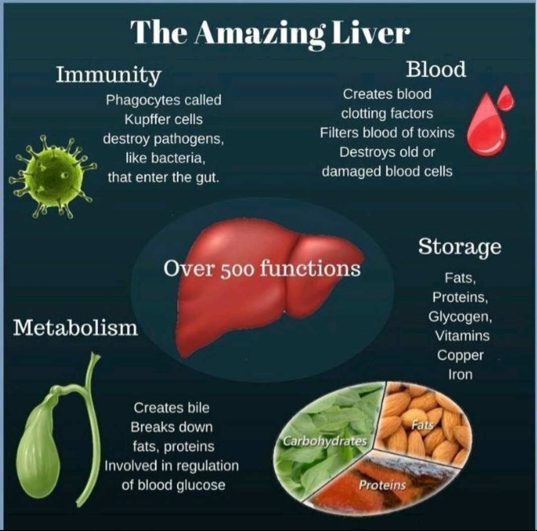 A blog about conditions related to the gastrointestinal tract, liver ...