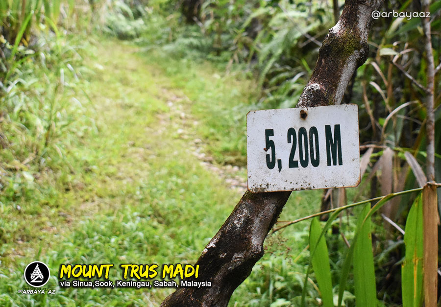 Mount Trusmadi (Via Sinua,Sook - Mannan Trail) - AAZ
