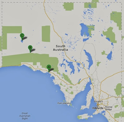 Deb and Weg's BIG Adventure: November 2013