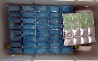 The Screwy Brewer: Using The Blichmann BeerGun™