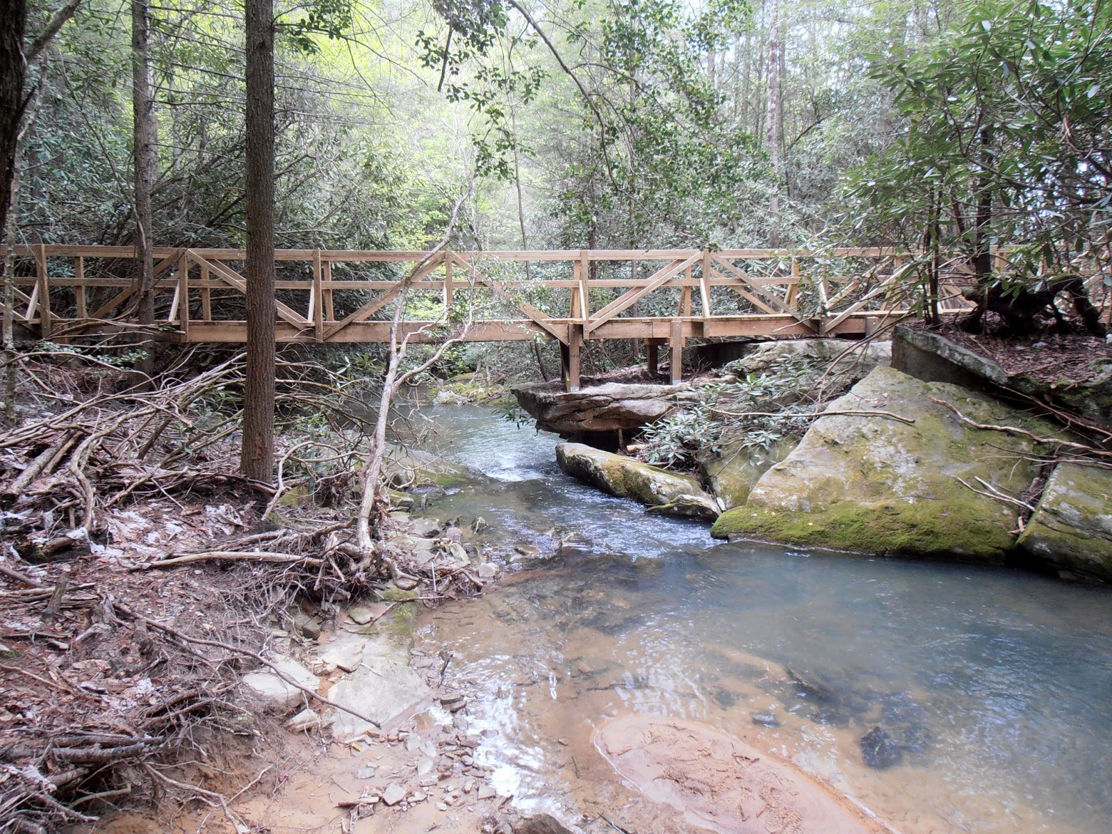American Travel Journal: Bridge Trail - Obed Wild & Scenic River
