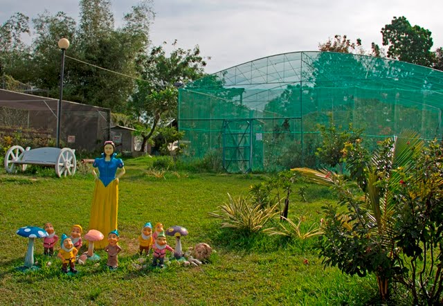 mybeautifulILOILO: A Wealth of Adventure at MILA’s HILL Inland Resort ...