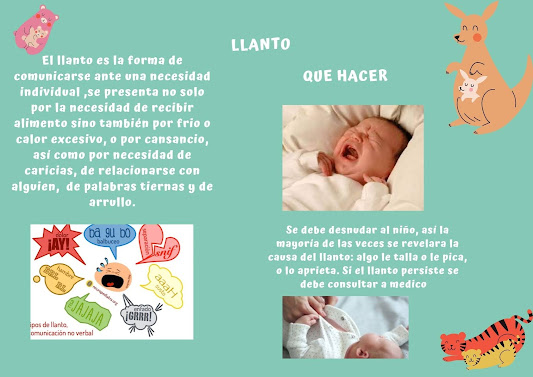 RECOMENDACIONES AL ALTA Y CUIDADOS DE LA PUERPERA