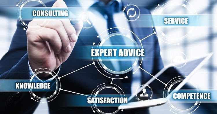 What The Experts Say II