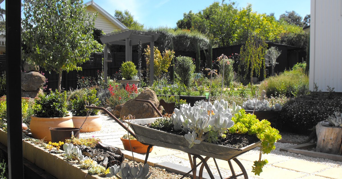 Roger Roberts Art: Our new back garden.