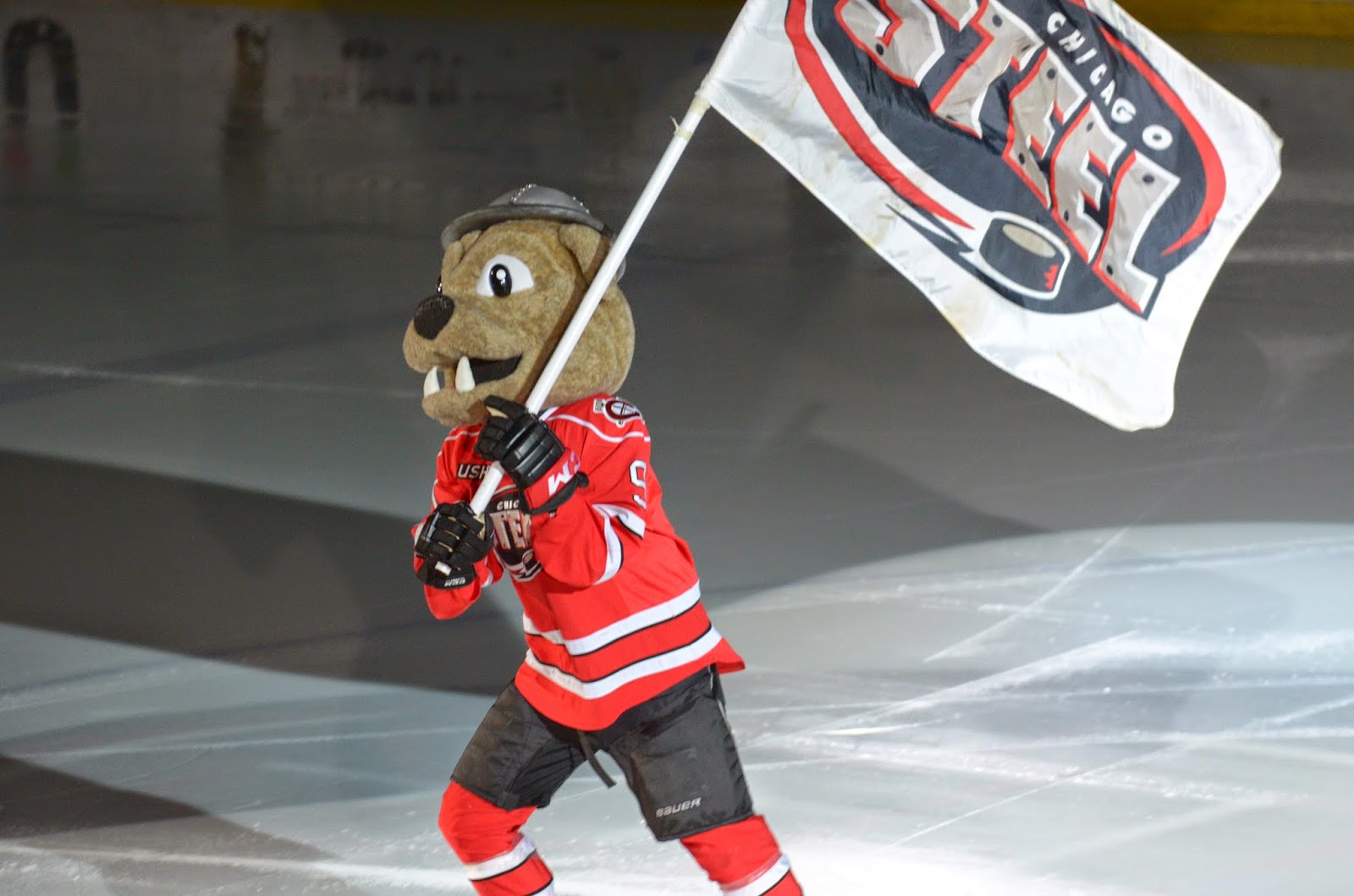 Chicago Steel Hockey: Scenes from the Steel Game