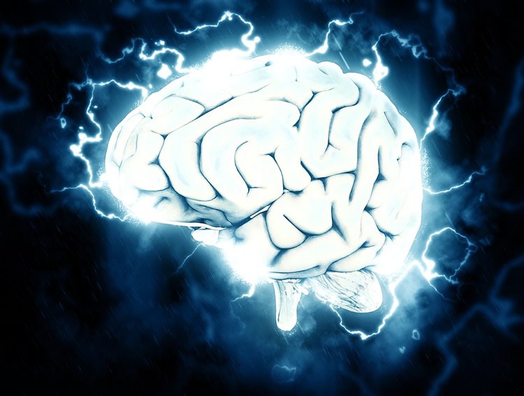 Our Parkinson's Place: Portions of the Brain Fall Asleep and Wake Back ...