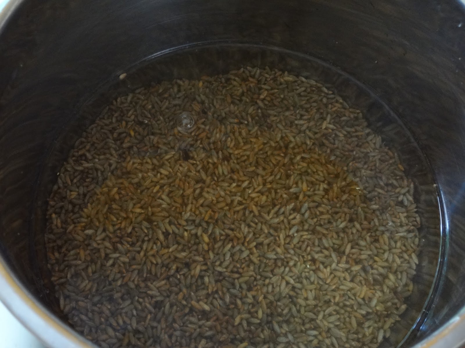 The Messy Organic Mum: Fried Rye Berries plus Rye Pudding