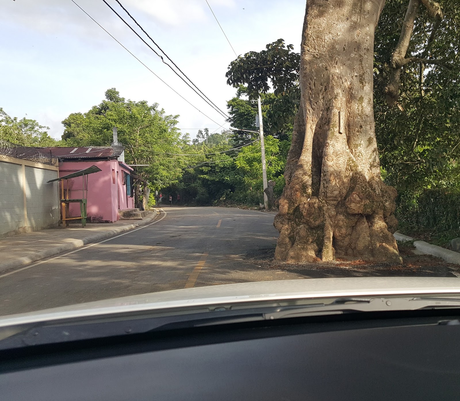 santiago30caballeros.com: PALMAR GRANDE ALTAMIRA