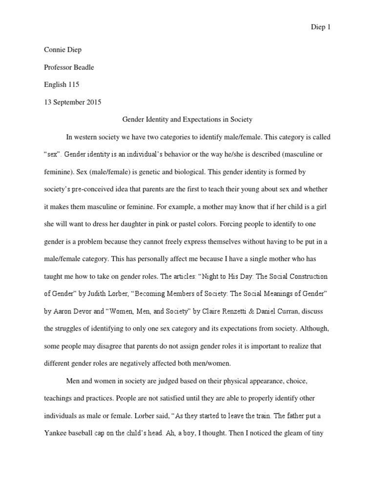 essay examples: identity essay