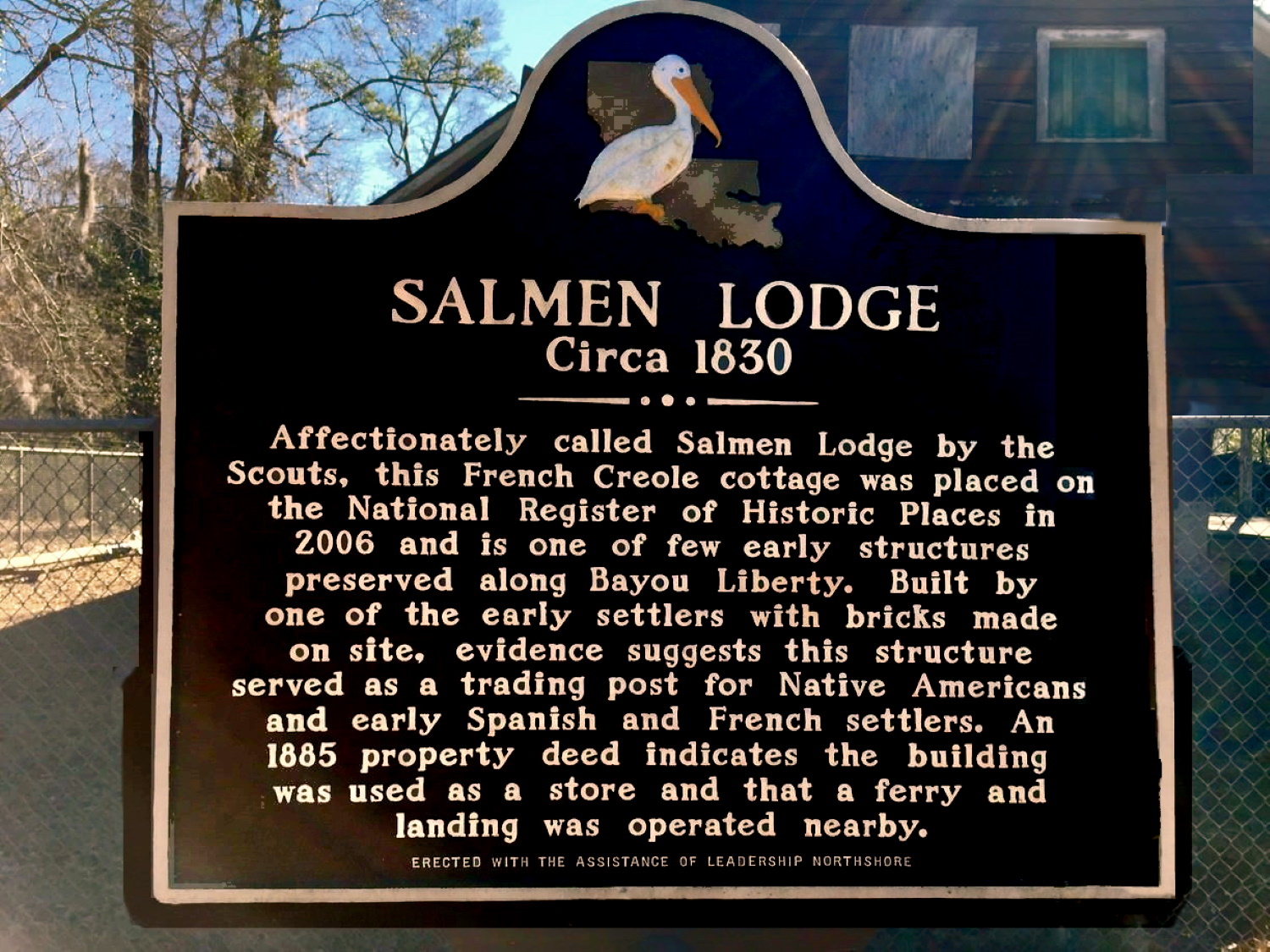 Tammany Family: Camp Salmen History