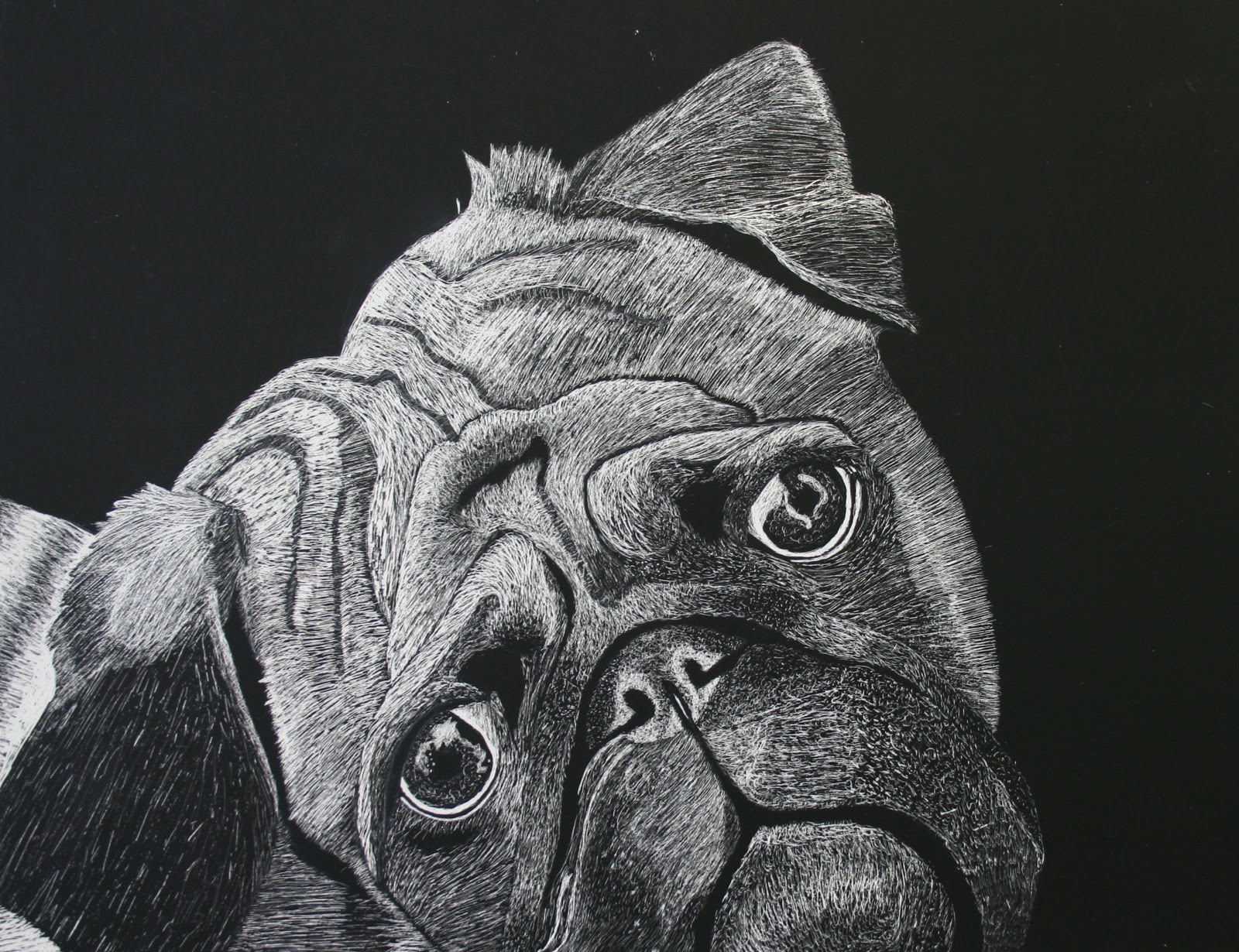 Paintings by Janis McCarty: More on Scratchboard