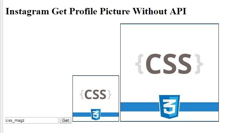 Get Instagram Profile Picture Without Instagarm API - Css-Magz