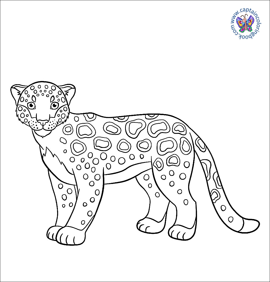Coloring book pdf download